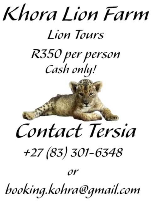 Local Attraction: Khora Lion Farm – Lion Tours | 2024 African Handgun ...